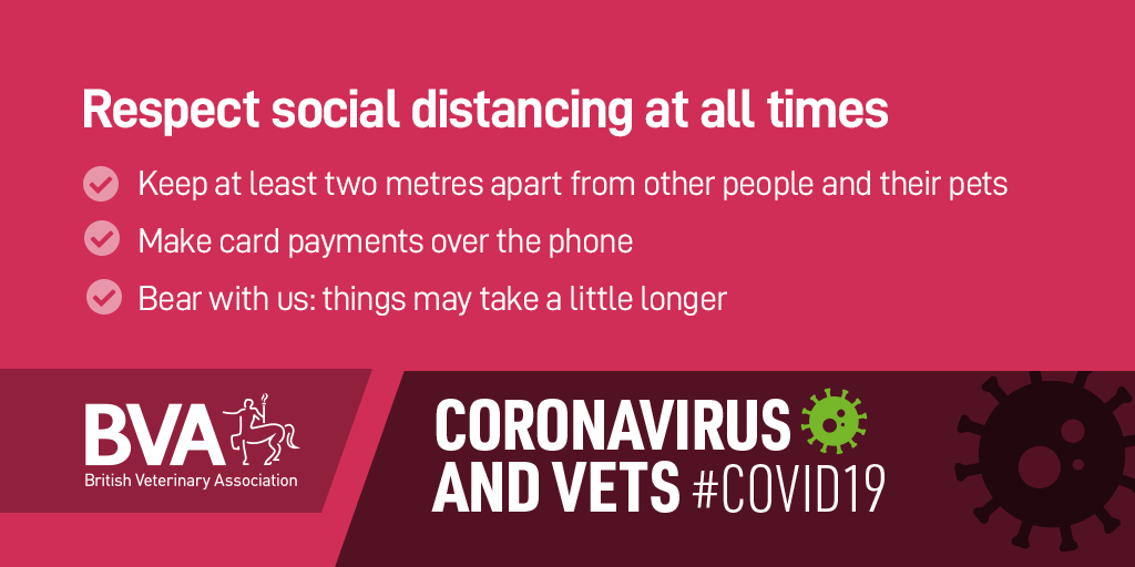 Islanders Vets l Your Pets Are Our Pets